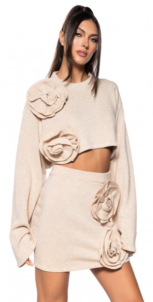 AKIRA - GARDENIA APPLIQUE KNIT CROPPED SWEATER