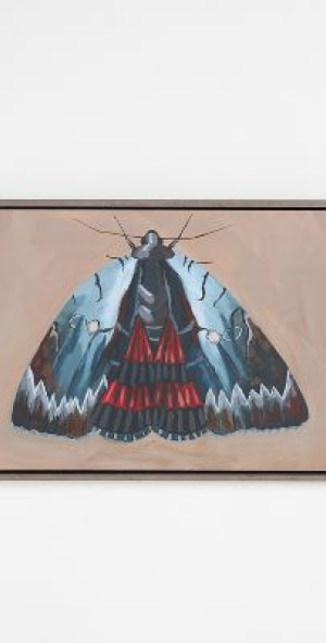 Anthropologie - Patterns On Wings Wall Art