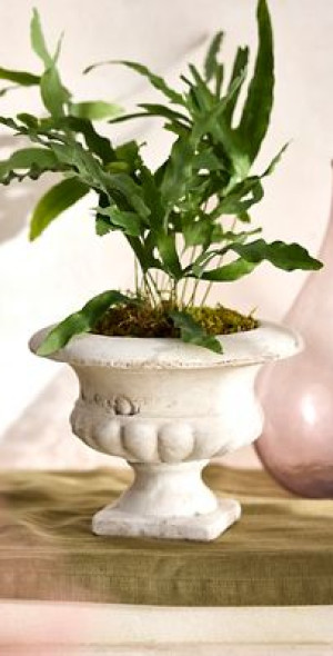 Terrain - Aged Terracotta Urn