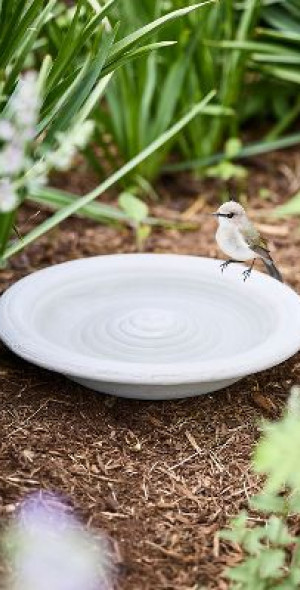 Terrain - Ceramic Basin Bird Bath