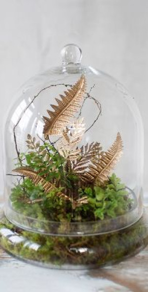 Terrain - Domed Cloche + Tray Set