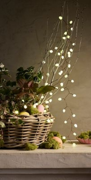 Terrain - LED Teardrop Lights