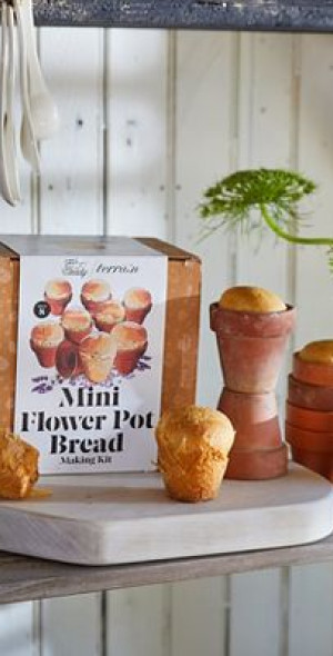 Terrain - Mini Flower Pot Bread Kit, Set of 8