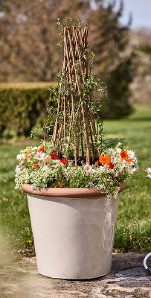 Terrain - Woven Willow Cone Obelisk