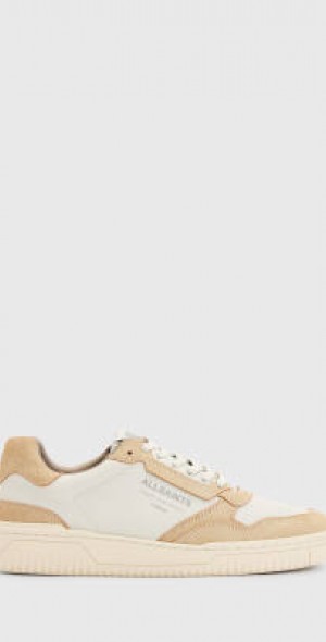 AllSaints - Regan low top suede sneakers in white/sand