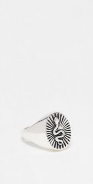 FADED FUTURE - Faded Future snake signet ring in silver