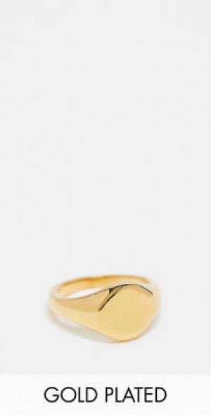 LOST SOULS - Lost Souls stainless steel signet ring in 18k gold plate