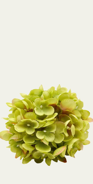 Deborah Rhodes - Hydrangea Blossom Napkin Ring