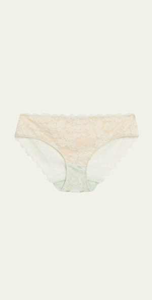 Hanro - Anais High-Cut Lace Briefs