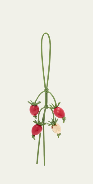 Loewe - Tomato Branch Charm in Resin and Leather