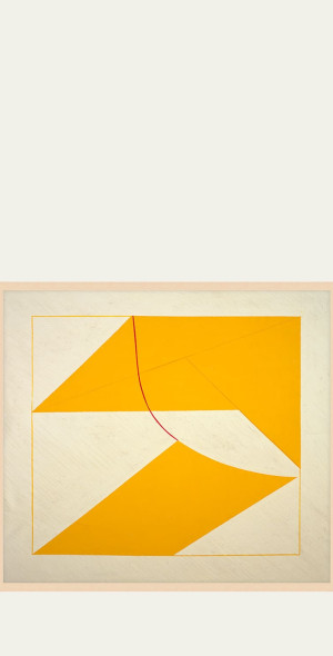 RFA Fine Art - "Origami" Print Wall Art by Robert Robinson