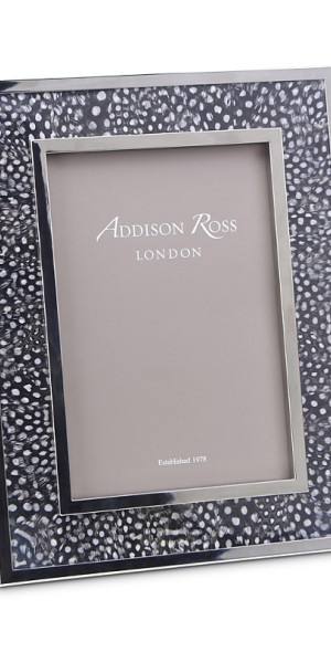 Addison Ross - Guinea Feather & Silver Frame, 8 x 10