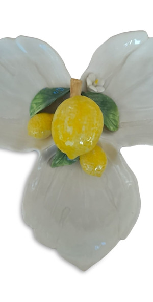 Les Ottomans - Lemon Starter Dish