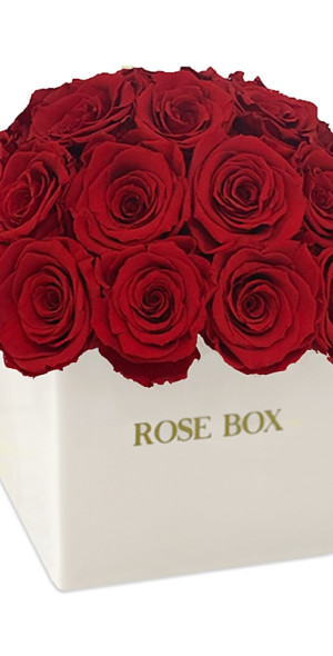 Rose Box Nyc - 35 Rose Ceramic Arrangement