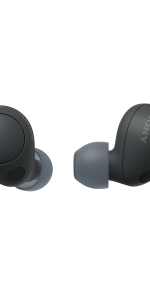 Sony - Truly Wireless Bluetooth In-Ear Headphones with Noise ...