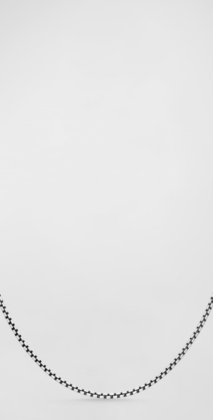 David Yurman - Baby Box Chain Necklace