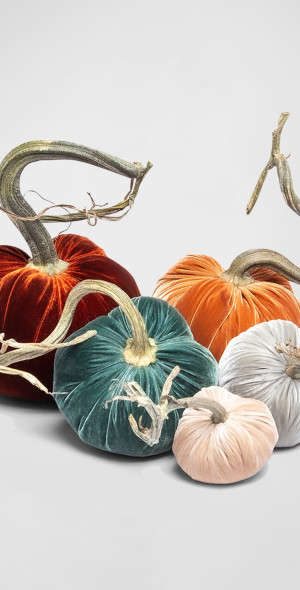 Hot Skwash - Mixed Velvet Pumpkins, Set of 5
