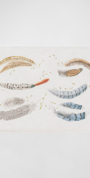 Juliska - Forest Walk Note Card Assorted, Set of 6