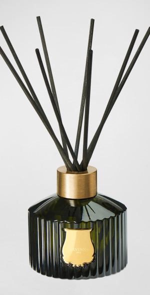 Trudon - Ernesto Le Diffuseur, Leather And Tobacco