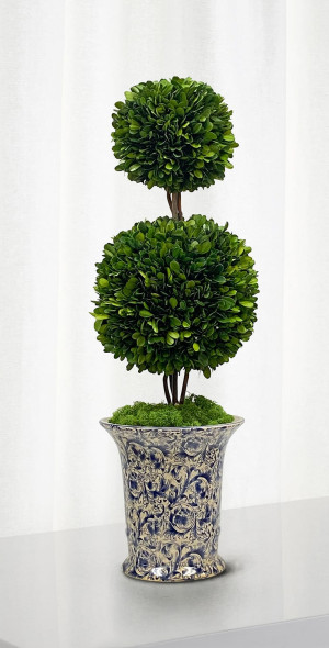 Winward Home - Preserved Double Ball Topiary In Porcelain Vase