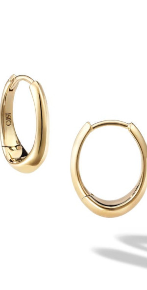 Cast - The Mini Fluid Hoop Earrings in Gold