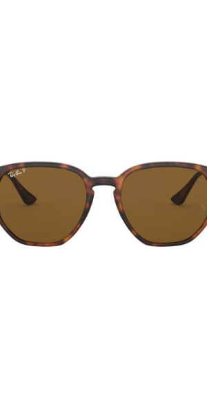 Ray-Ban - 54mm Polarized Irregular Sunglasses in Havana