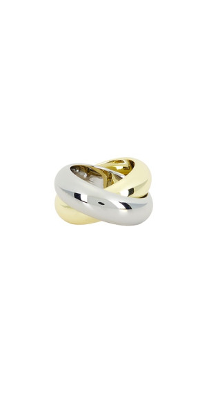 SHASHI - Ross Ring