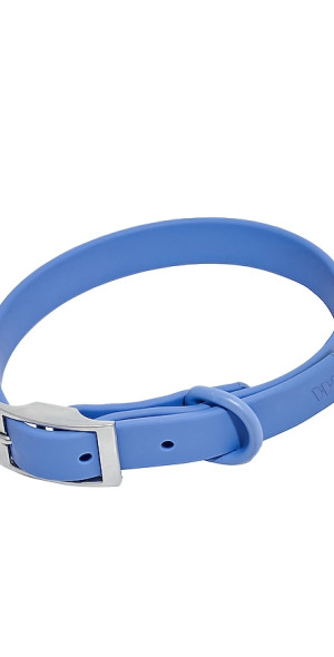 Wild One - Small Collar