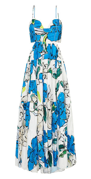 Aje - Women's Sculptura Tiered Botanical Maxi Dress