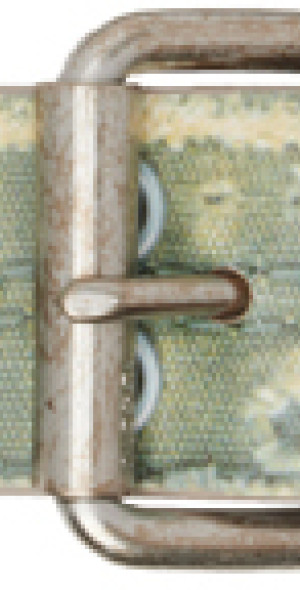 Diesel - Green B-Trump Belt