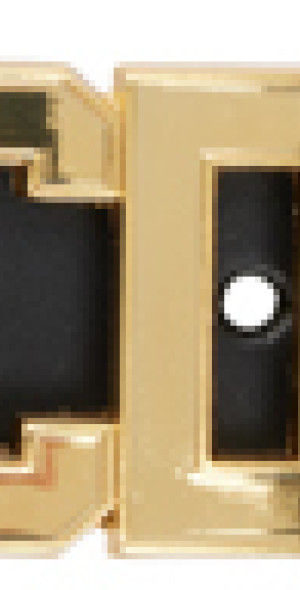 GCDS - Black Logo Belt